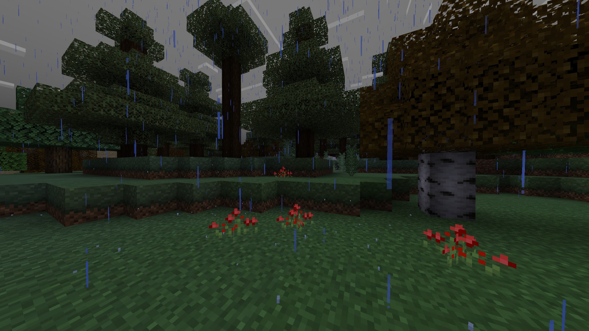 Minecraft Rtx Ray Tracing | ppgbbe.intranet.biologia.ufrj.br