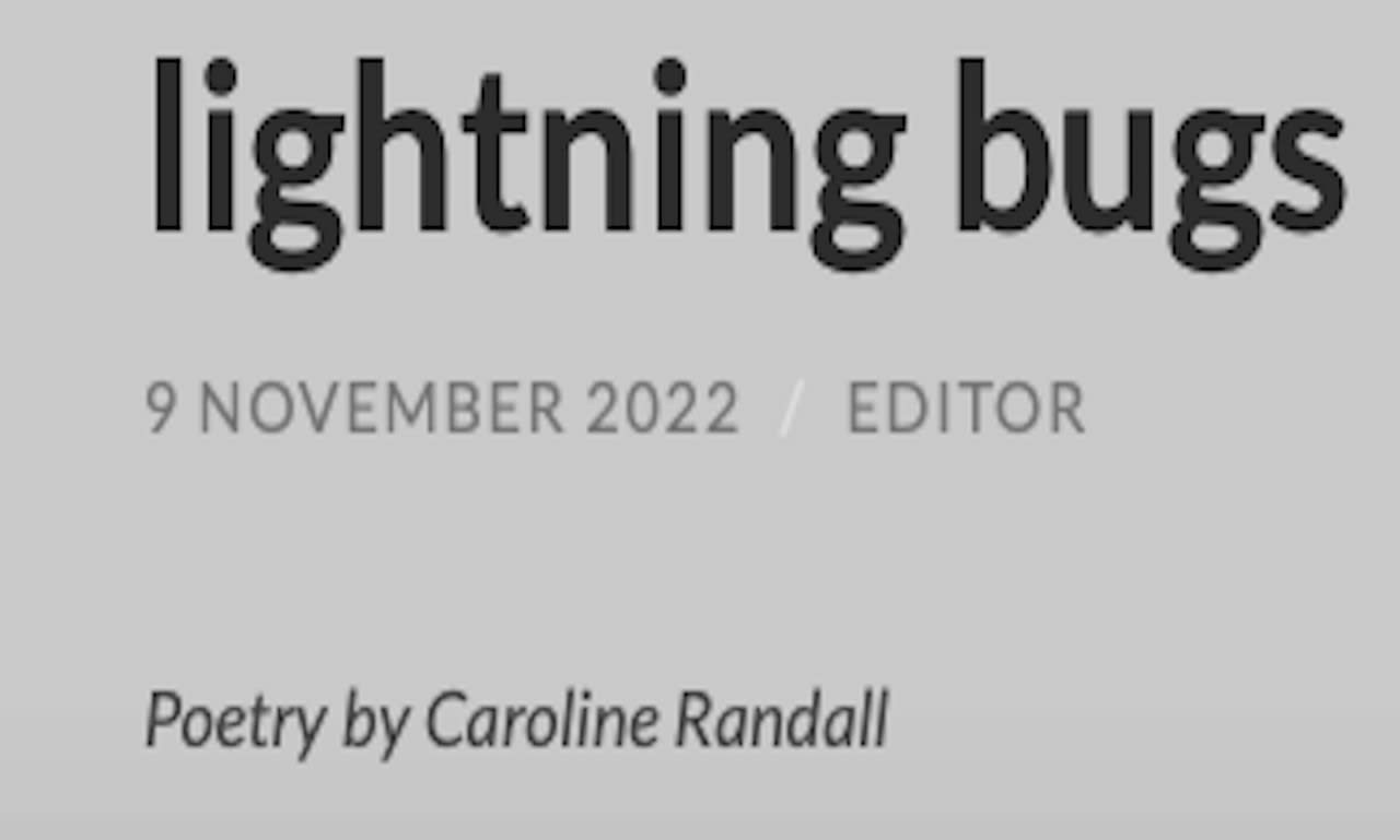 Poems About Lightning Bugs | Shelly Lighting