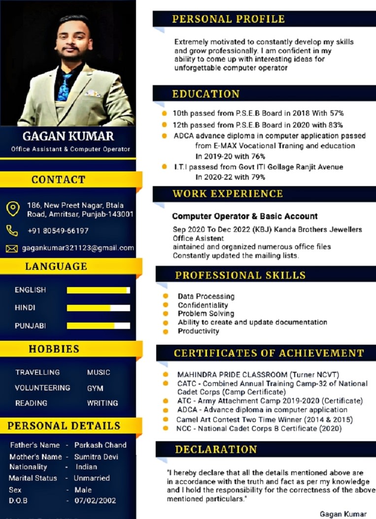 Resumes With Logo Make A Professional Resume, CV, Posters, Thumbnails,