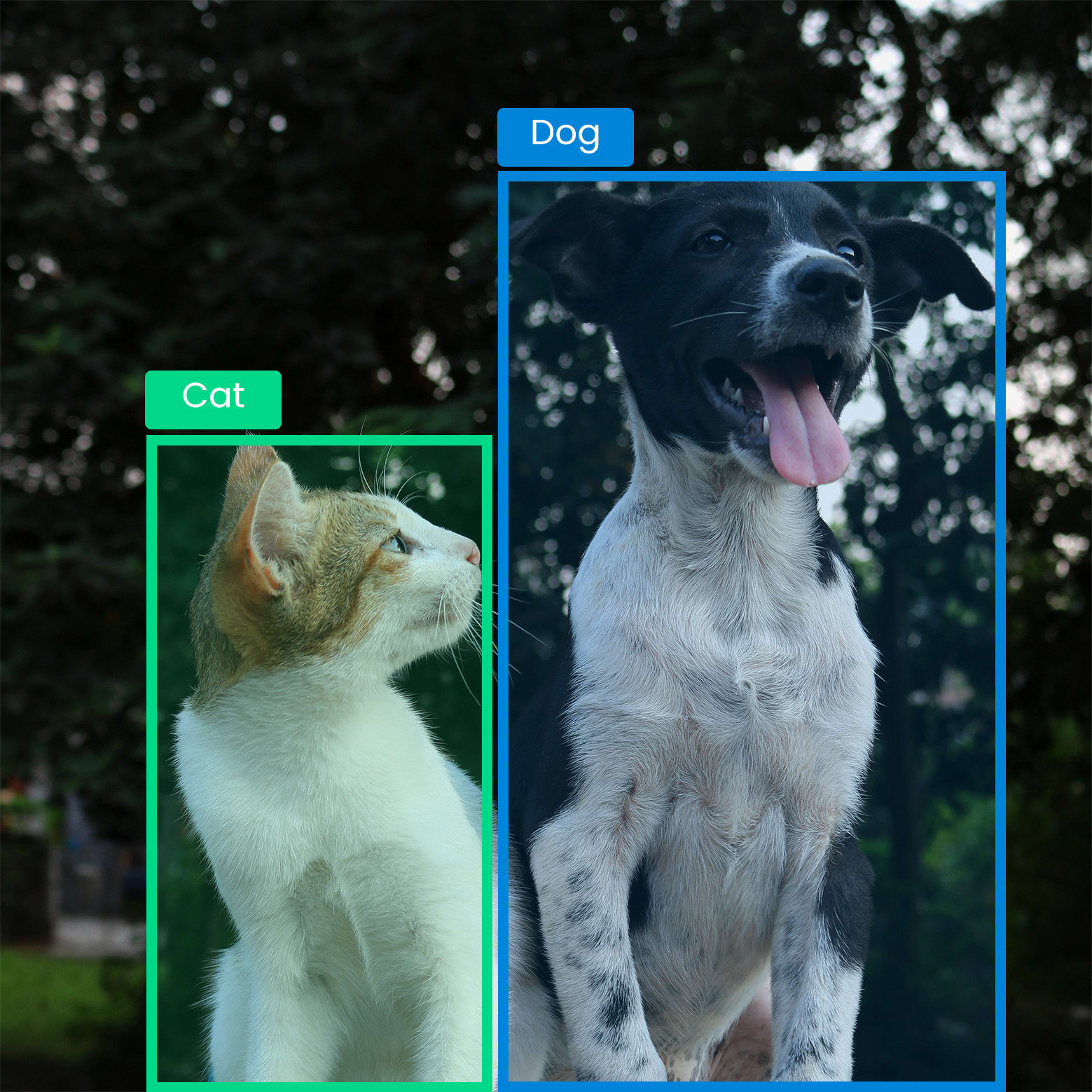 Do object detection good tasks by
