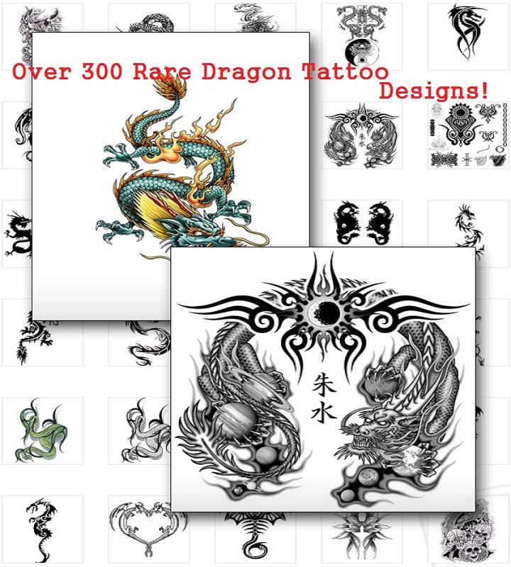 Rare Dragon Tattoos Dragon Tattoo Designs • No Regrets UK