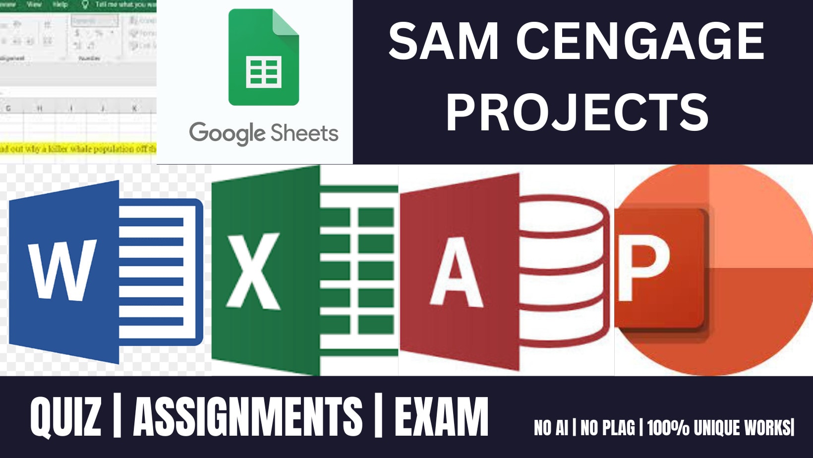 Sam Cengage Logo Cengage SAM Excel Simulation Activity | Download