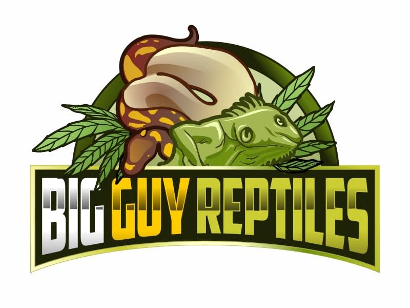 Animals Logo 8 Animal Logos Set + Cool Bonuses By Vatesdesign On