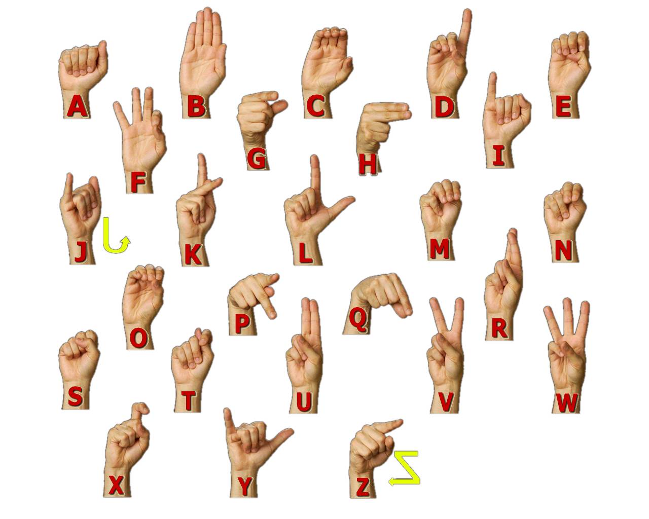 Translate Sign Language