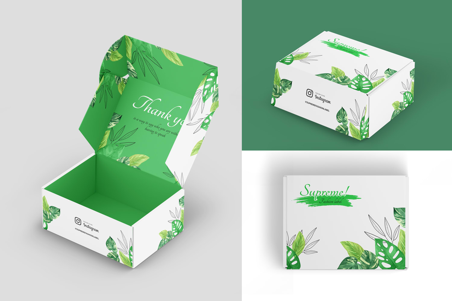 Elegant Package Designs