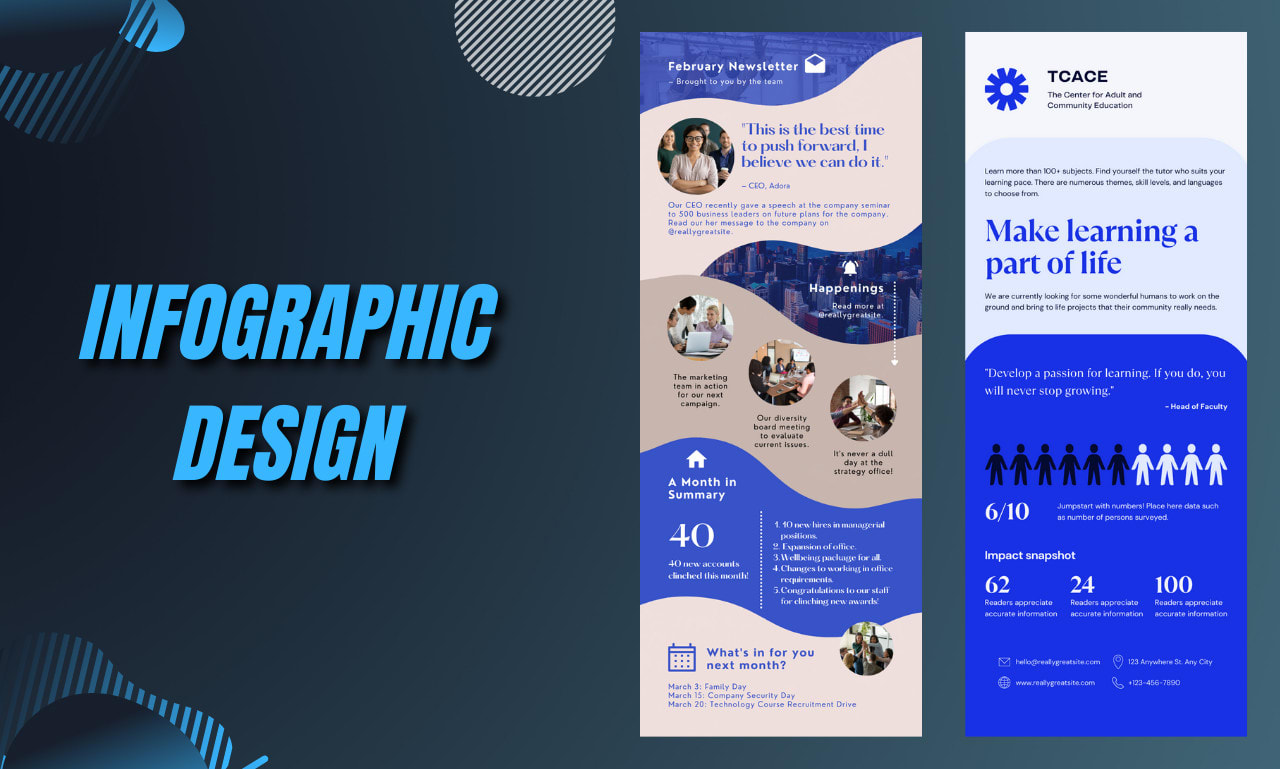 Create A Unique And Pro Infographic Design Within 24 Hrs By