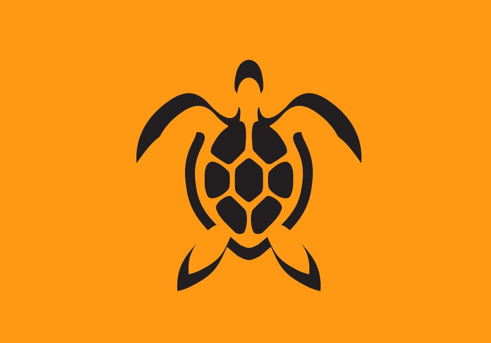 Turtle Logo
