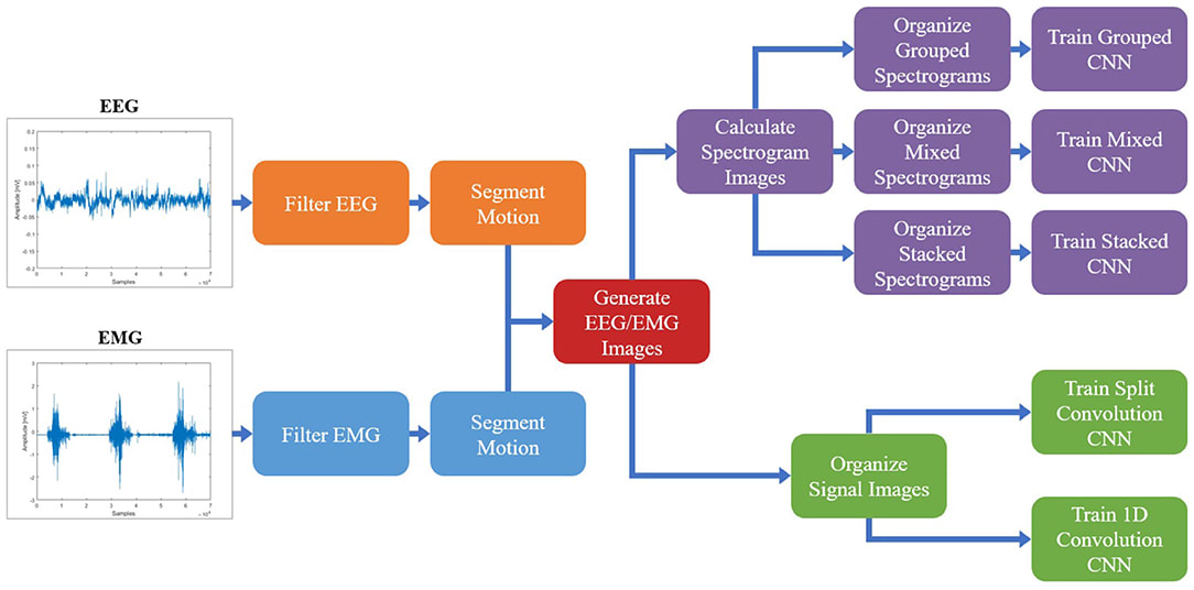 Signal Classification Deep Learning | ppgbbe.intranet.biologia.ufrj.br