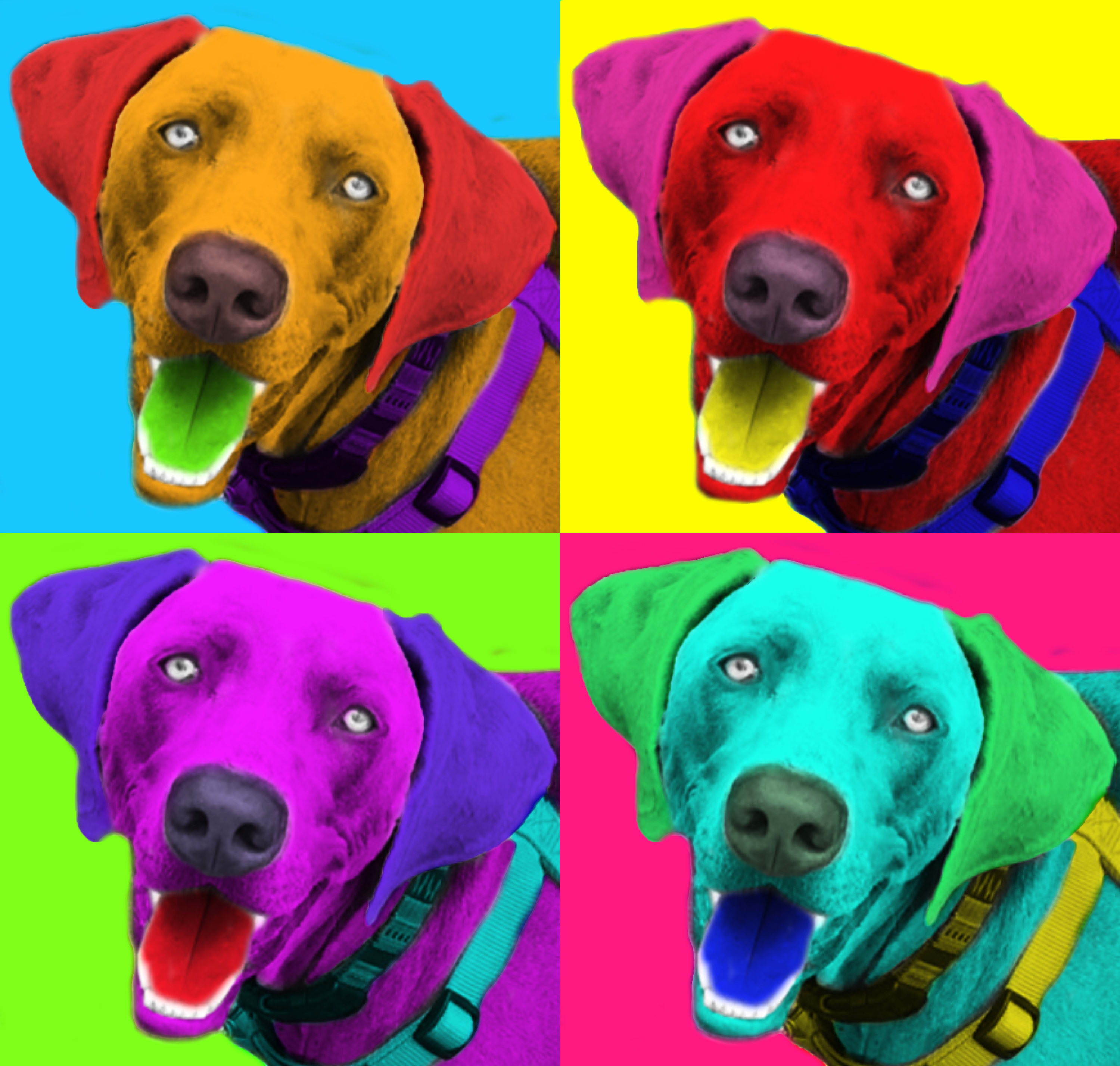Pop Art Andy Warhol Dieren