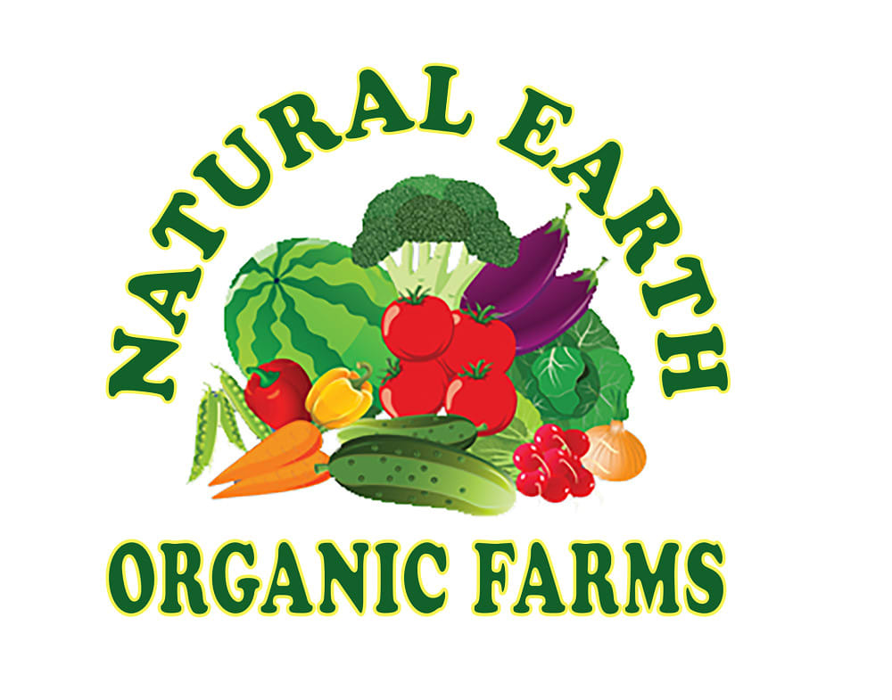 Vegetable Farm Logo Vegetable Harvest Eco Fresh Farm Logo Flat Vector