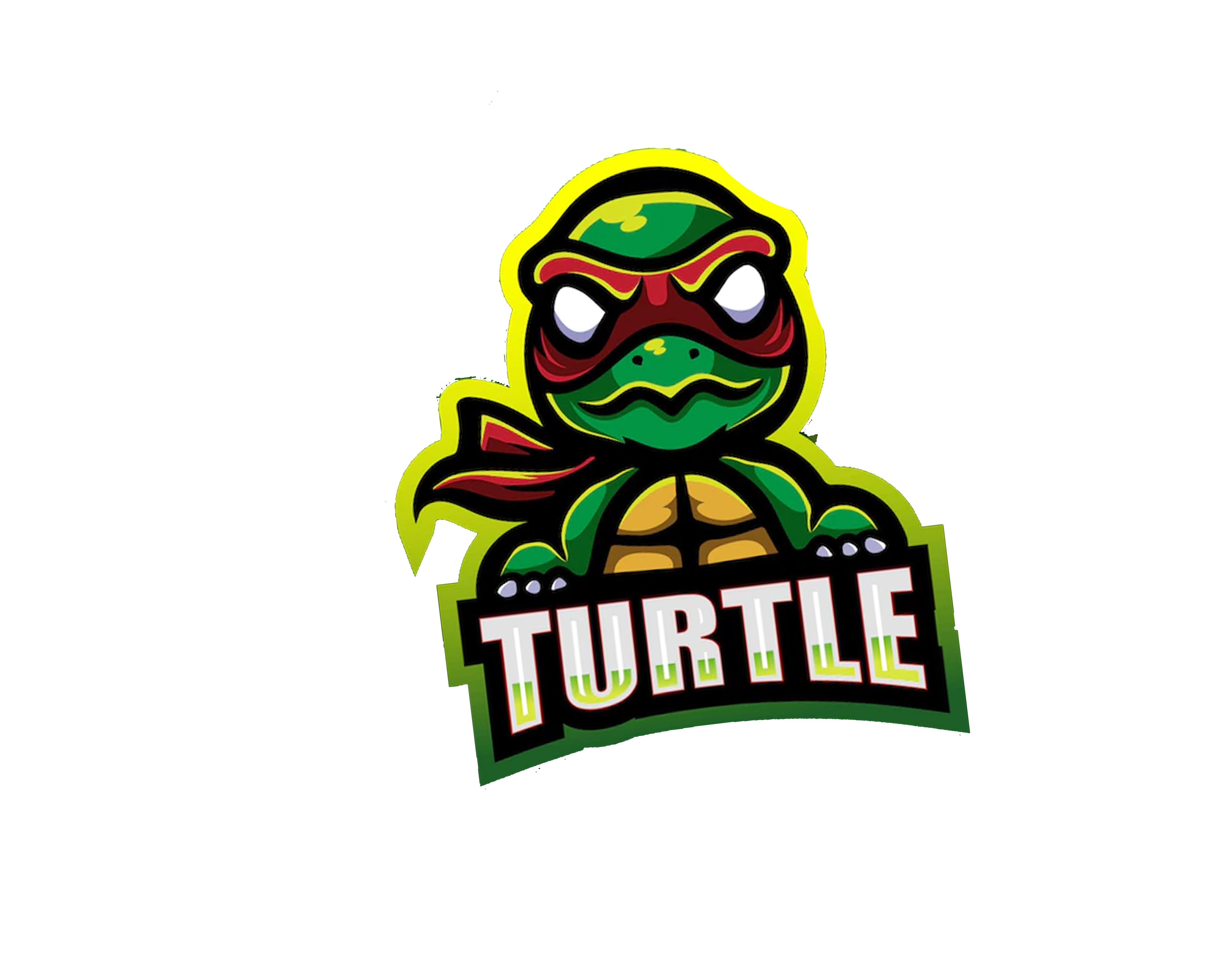 Turtle Logo