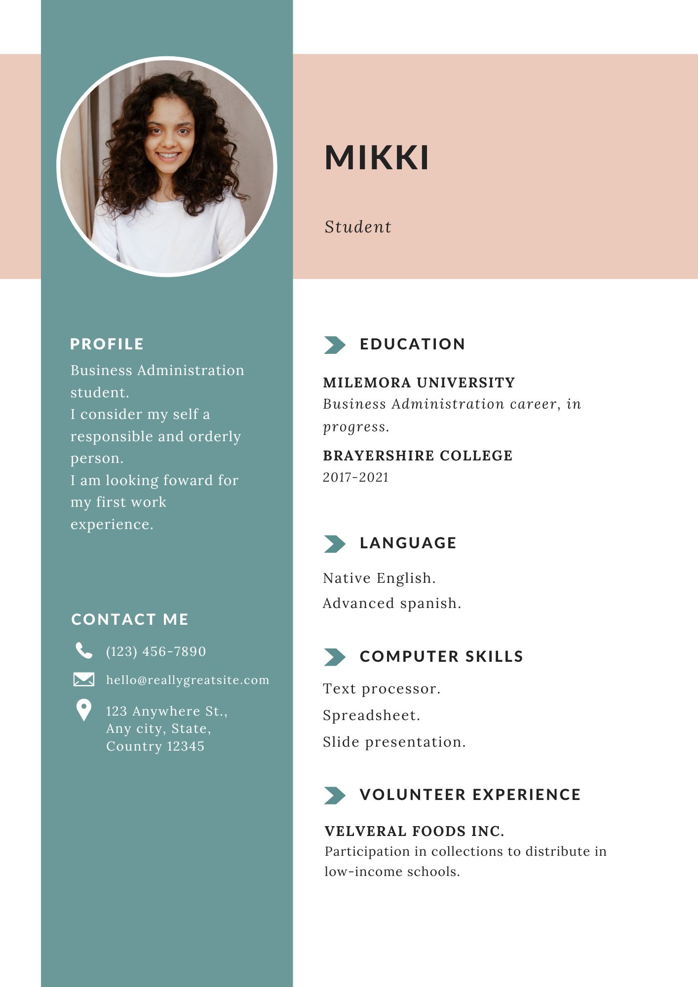 Cv Template Berlin Go Sumo Cv Template Cv Template Cv Template
