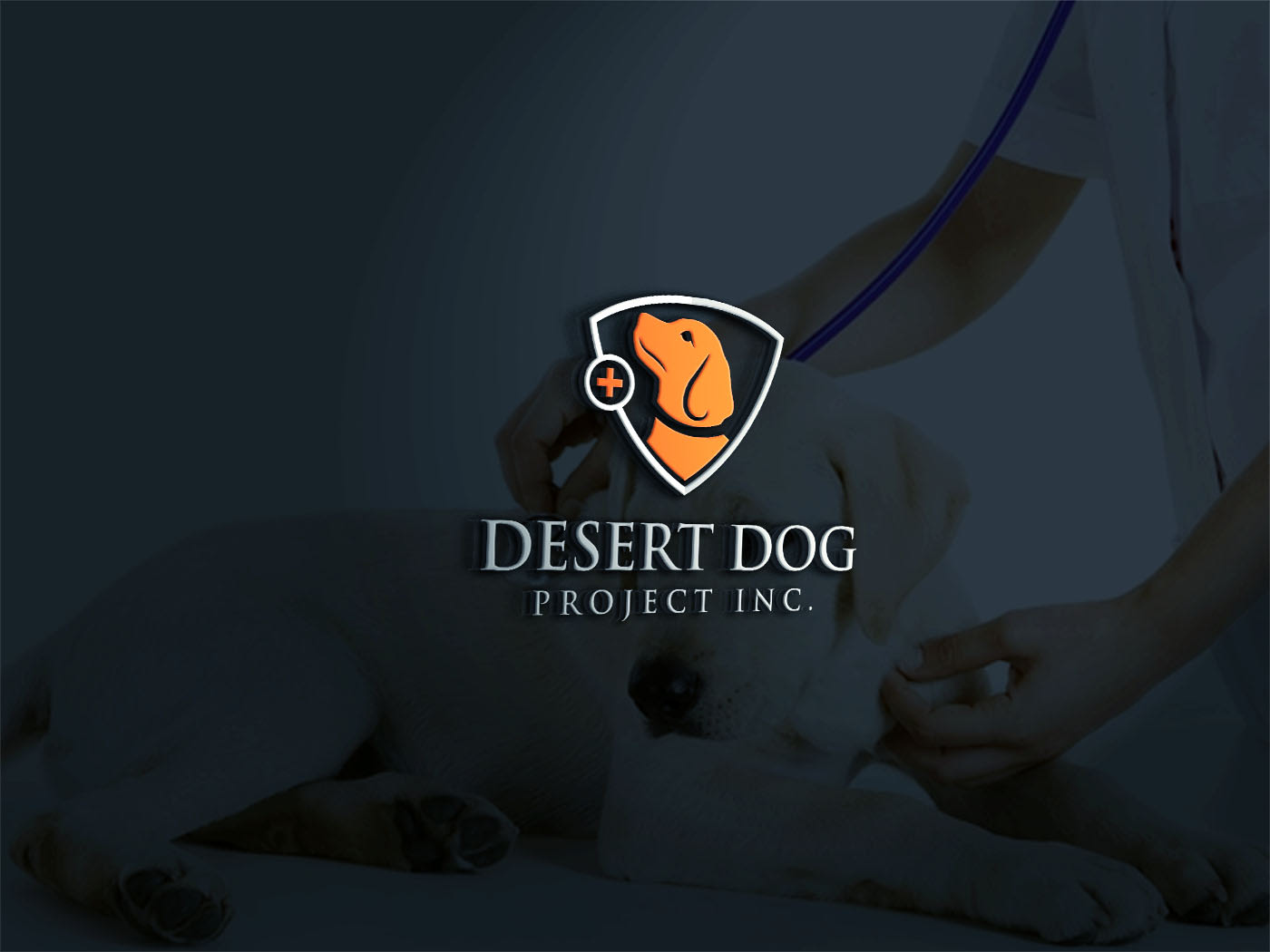 Rescuer Logo Proliner Rescue