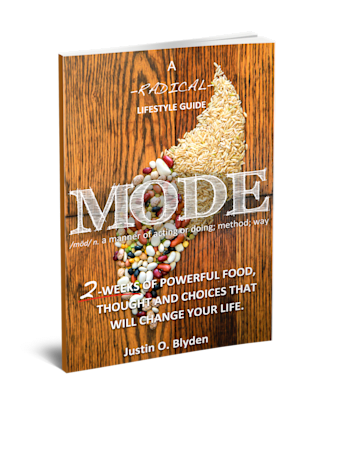 Create 2d or 3d ebook cover within 24 hours by Ravsingh