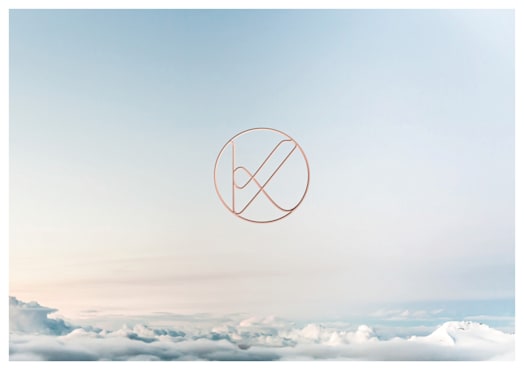 Design logo and visual identity for modern brands by Evelinaro