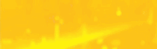 Design video animation, animated gif, short video, branding and ads by ...