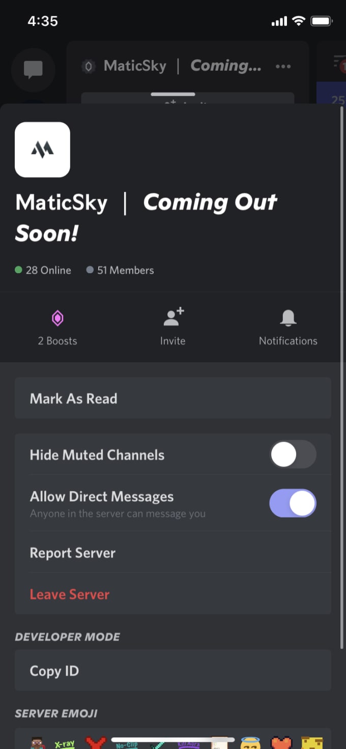Boost your discord server by Nictro | Fiverr Boost your discord server by Nictro | Fiverr