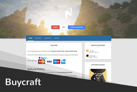 Send you a buycraft theme with your minecraft server logo by Harry ...