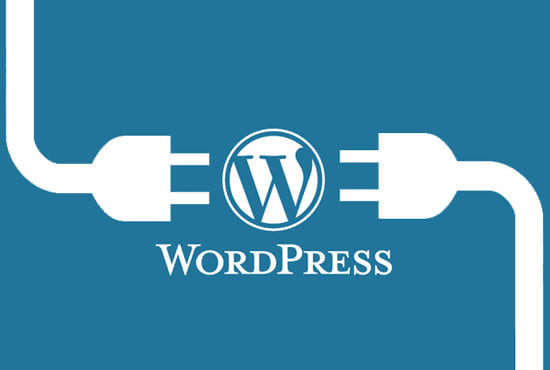 Fix your wordpress plugins, theme and customize it by Rjrahevar | Fiverr