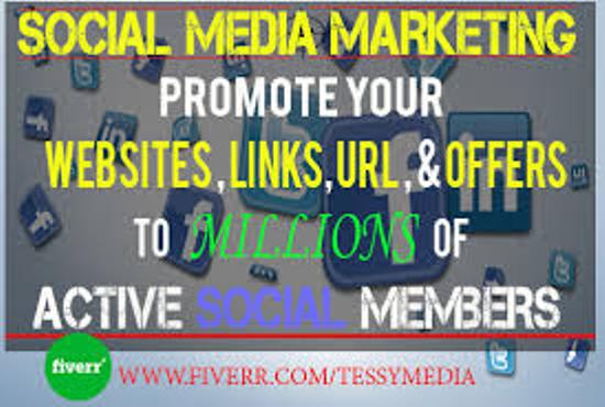 Promote,drive unlimited traffic to your site,blog,social by ...