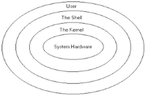 Send Unix Shell Script To Replace One String With Another In A Recursive Manner By Bkumar72 Fiverr