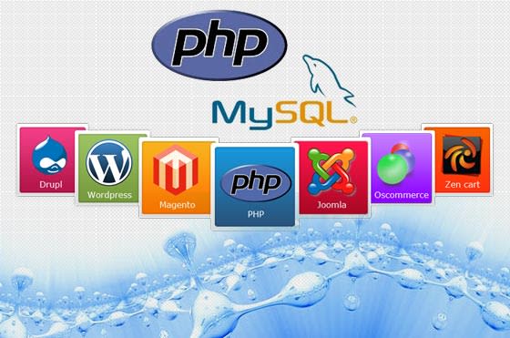 Design and developed the customized website in php,html,css by ...