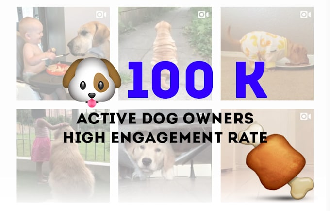 Give you an instagram shoutout on my 100k dog page by Yuramarketing ...