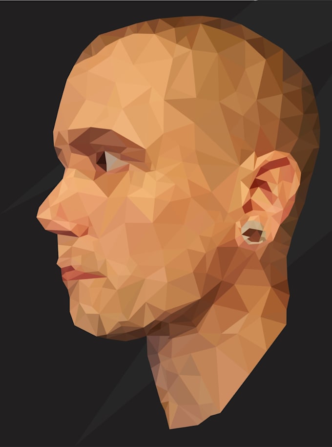 Create your very own low poly picture by Blizzardstar | Fiverr