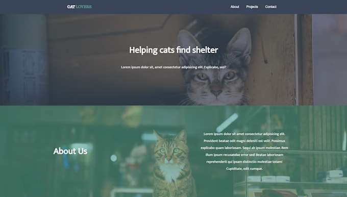Design and build a simple responsive static website by Edmagician | Fiverr