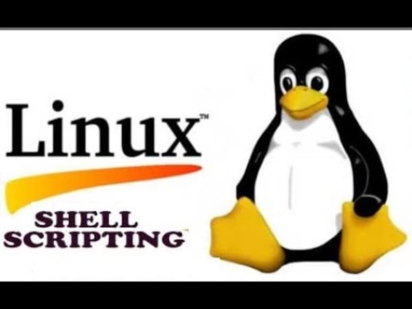 Write Bash Shell Scripts For Linux By Thilinab Fiverr