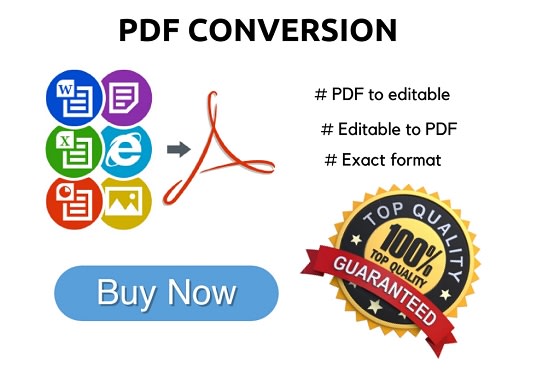 Do pdf conversion job by Mostafizlichu | Fiverr