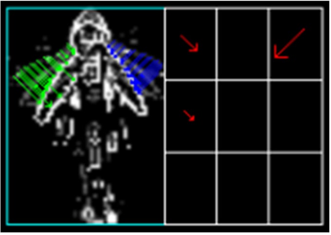 Do image processing assignments in opencv by Leehuan488 | Fiverr