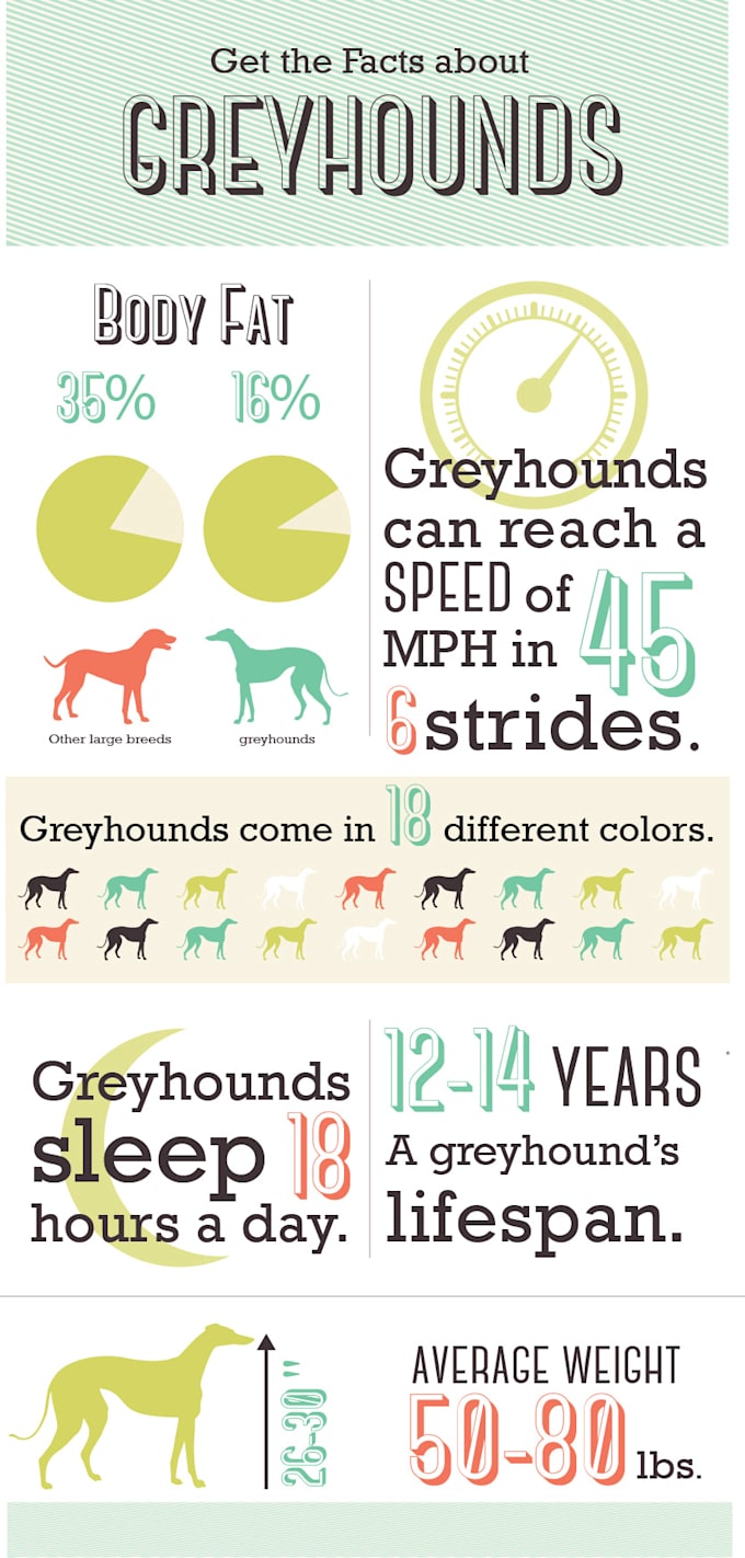 Create visually interesting, informative infographics by Tibbysunshine ...