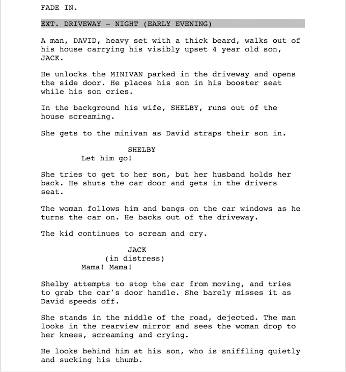 Write your short screenplays and stories by Madeleine2020 | Fiverr