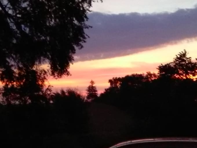 Write just about anything by Jwoodmansee | Fiverr