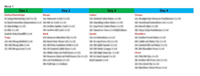 Provide you with a 12 week resistance training program by Fitnessagenda ...