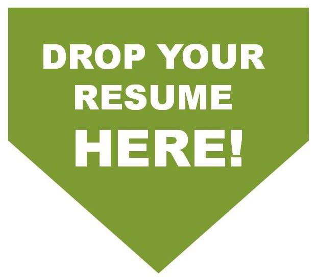 Update your resume asap by Taravell | Fiverr Update your resume asap by Taravell | Fiverr