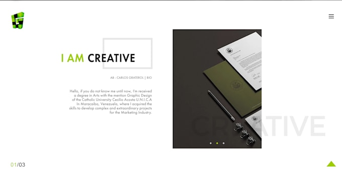 Design your brand manual and visual identity guidelines by ...