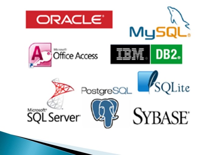Implement erd to any dbms by Wordpres_expert | Fiverr Implement erd to any dbms by Wordpres_expert | Fiverr