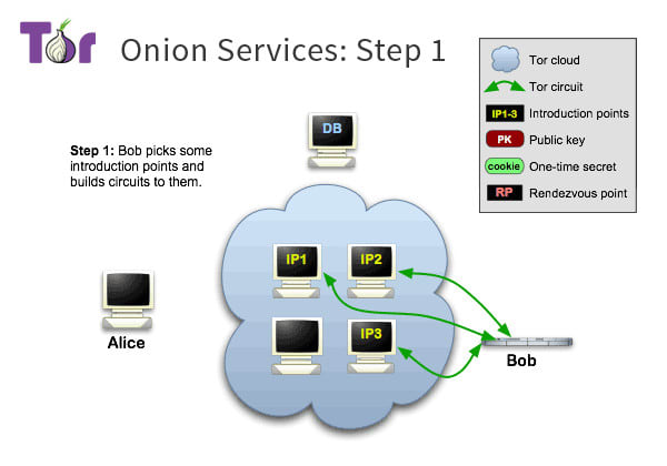 Create a custom onion address by Bradleyc746 | Fiverr