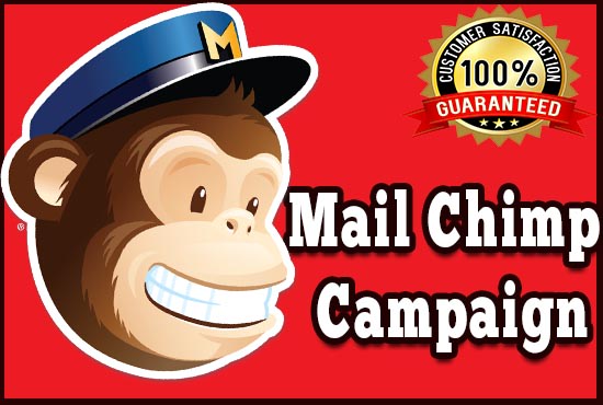 Create a responsive custom mail chimp campaign by Uzi_khan | Fiverr