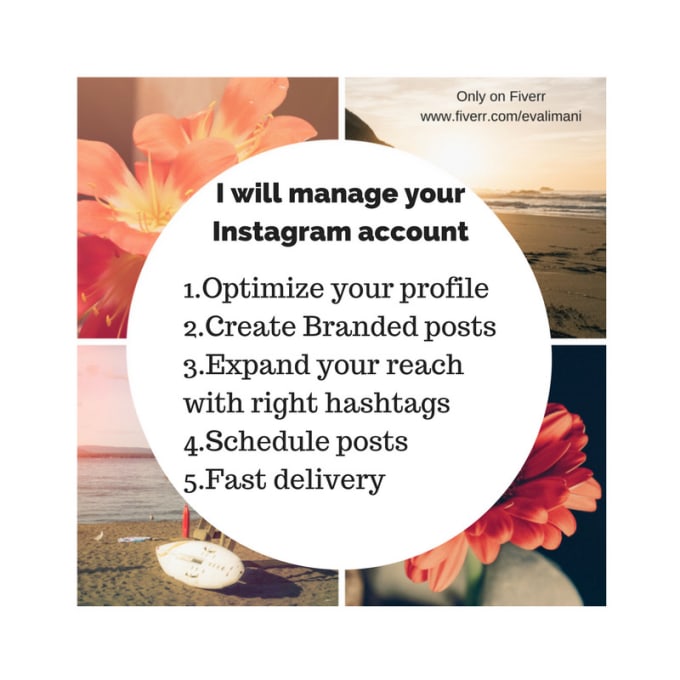 Professionally manage your instagram page by Evalimani | Fiverr Professionally manage your instagram page by Evalimani | Fiverr