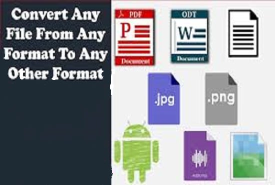Interconvert files of any format by Hassaan_02 | Fiverr