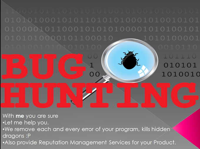 Remove bugs from your program by Sudeep_singhvi | Fiverr