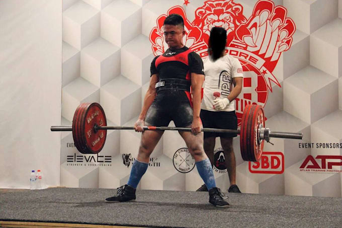 Provide a strength and powerlifting program using daily undulating ...