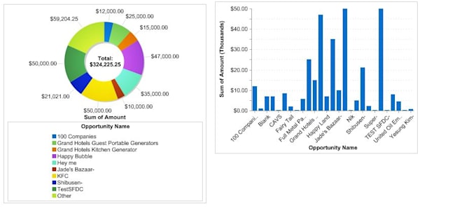 Create reports and dashboard for salesforce by Moniquechua | Fiverr