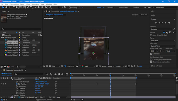 Create an animated still of your photo by Leunam42 | Fiverr