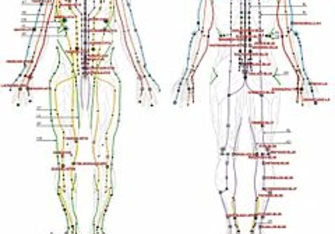 Give you a list of all the pressure points in the body by Jpelton | Fiverr