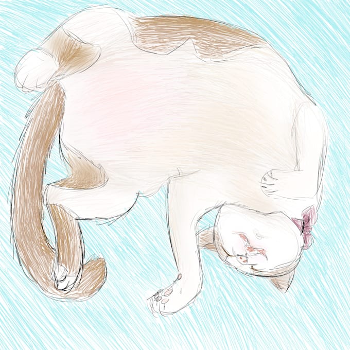 Digitally draw ur cat by Sariarts | Fiverr