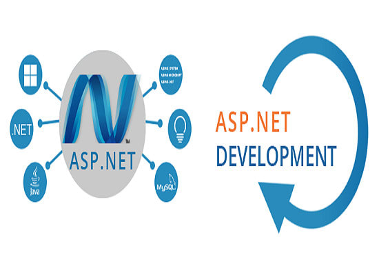 Develop Custom Asp Net Mvc Web Application Using Dot Net By 